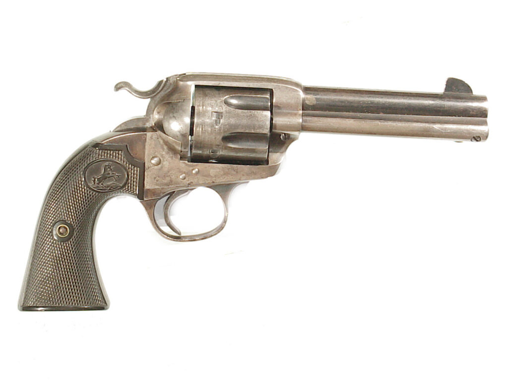 Monty Whitley, Inc. | Product categories Colts