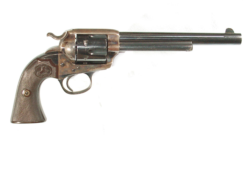 Monty Whitley, Inc. | Product Categories Colts